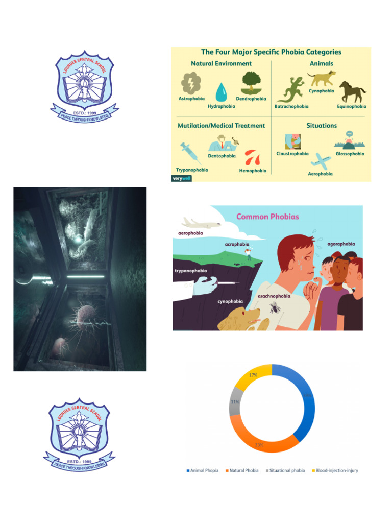 English ALS Project | PDF