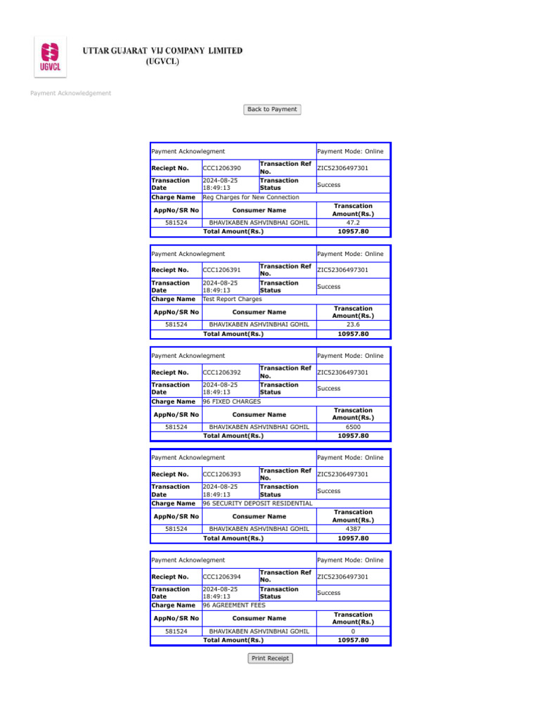 Ashvinbhai Meter Receipt | PDF | Receipt | Transaction Account
