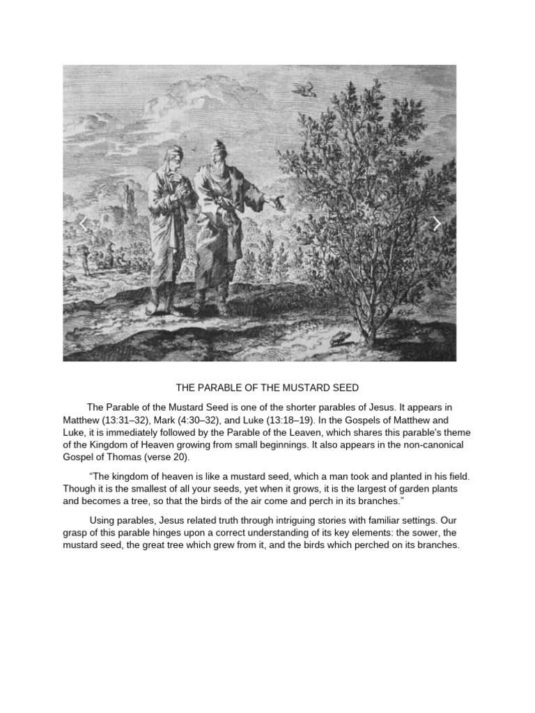 The Mustard Seed Parable Explained | PDF