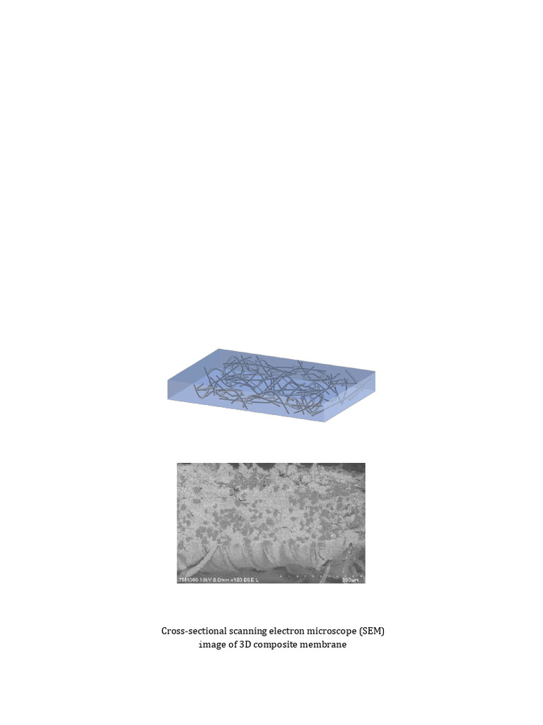 2 - 3D Membrane | PDF