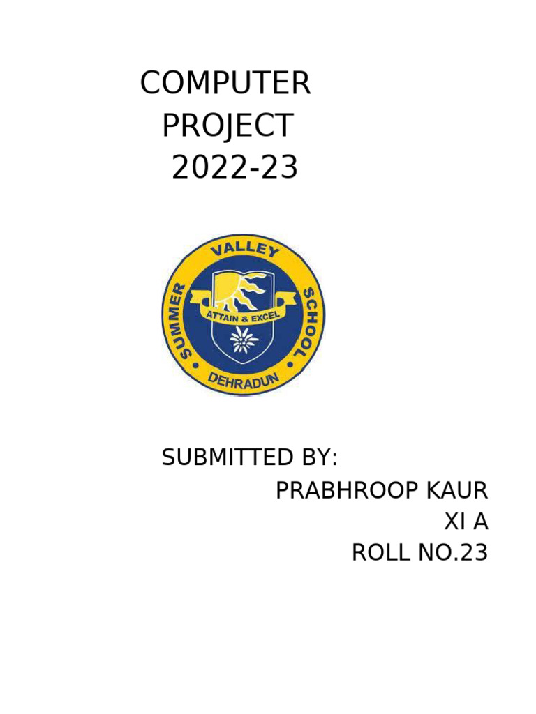 COMPUTER | PDF