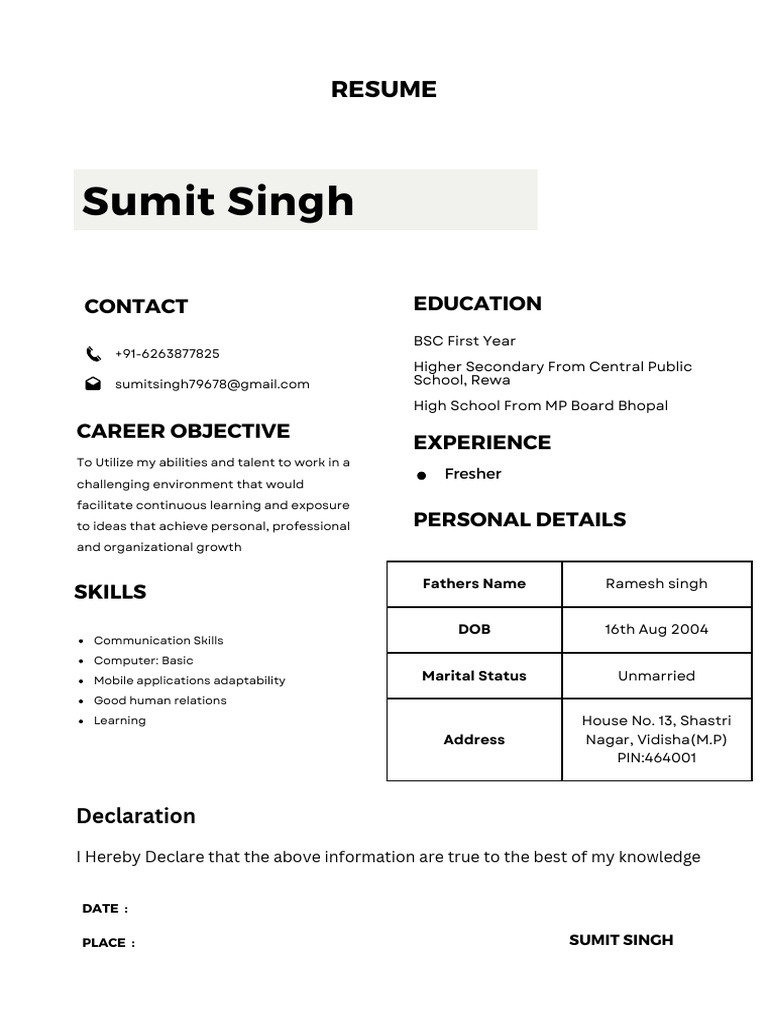 Sumit Resume | PDF