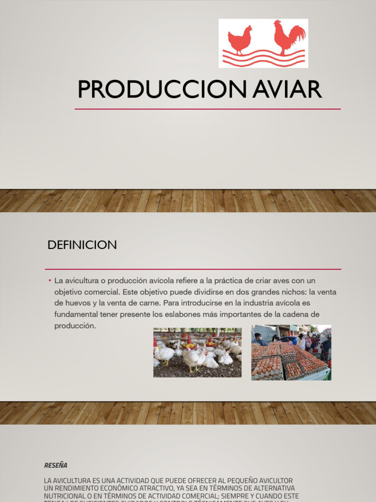Introduccion A La Produccion Aviar | PDF | Carne | Avicultura