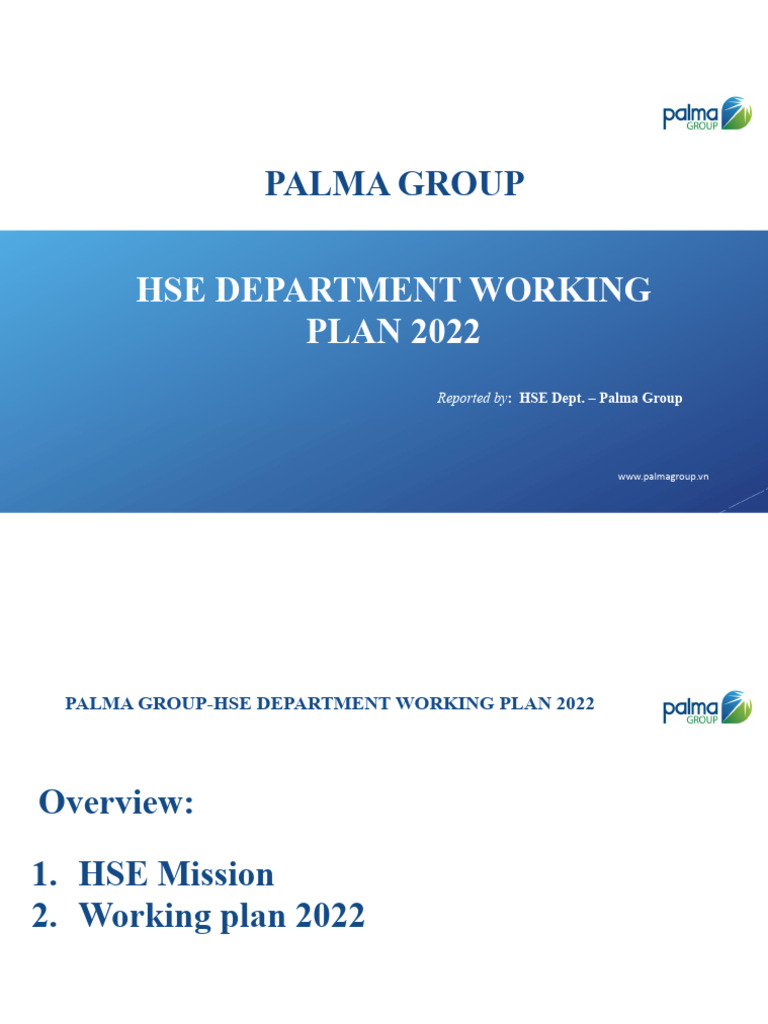 Palma Group HSE Plan 2022 Overview | PDF | Business