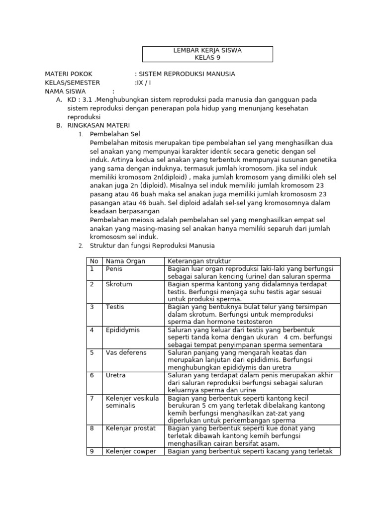 LKS Kelas 9 | PDF | Kesehatan Holistik | Sains & Matematika