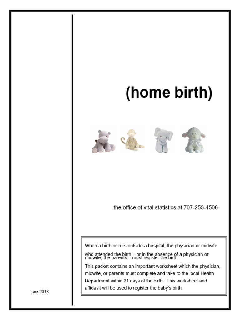 Home Birth Packet - 2023 - 201806271711027112 - 202301191638166790 ...
