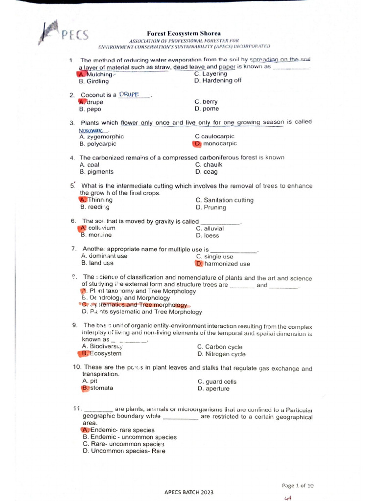 Apecs Fe 2023 Shorea | PDF