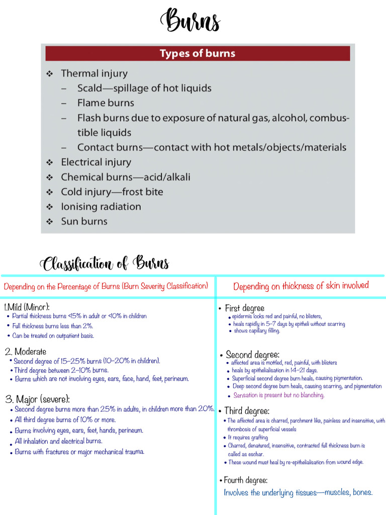 Burns | PDF