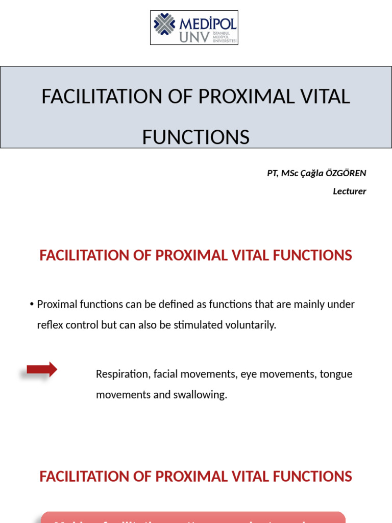 Facilitation of Proximal Vital Functions | PDF | Anatomical Terms Of ...