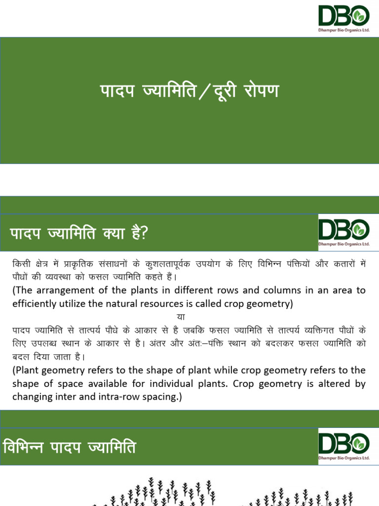 PPT On Planting Geometry or Distance Planting | PDF | Nature | Natural ...