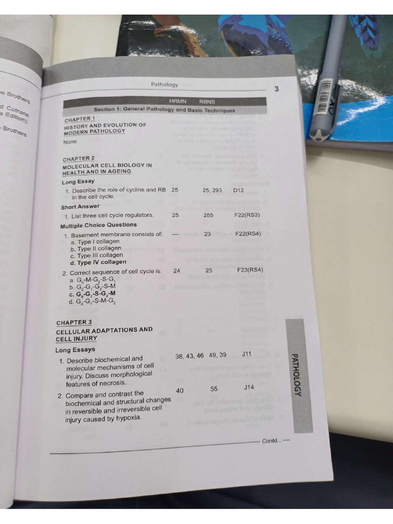 Singi 17 Edition 2nd Year - Compressed | PDF