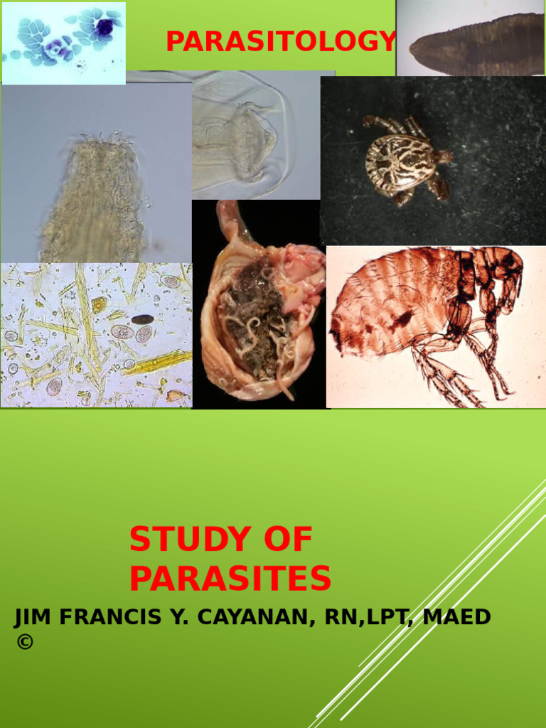 Parasitology For Nursing Students | PDF | Home & Garden | Wellness