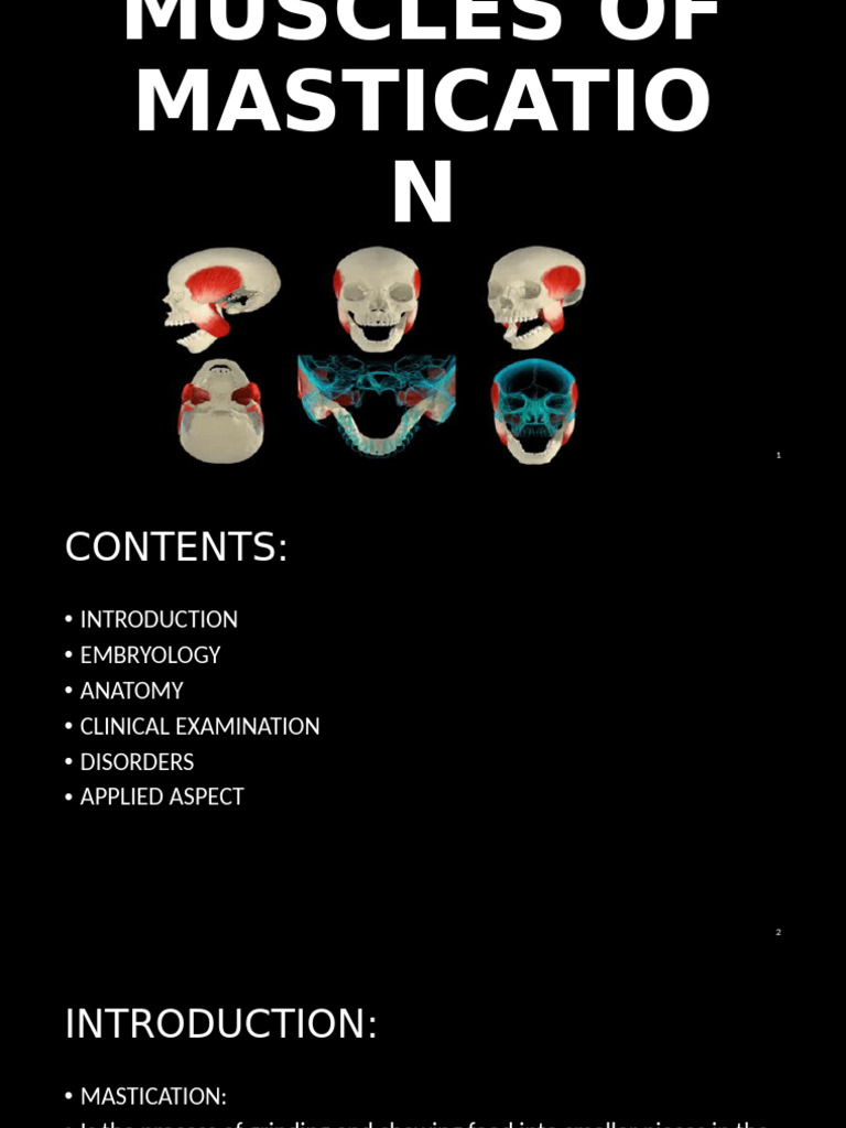 Anatomy and Function of Masseter Muscle | PDF | Myofascial Trigger ...