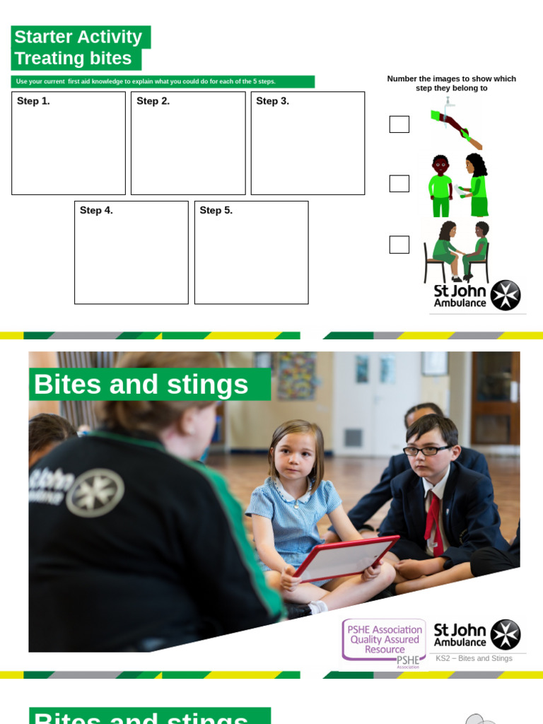 ks2 Bites and Stings | PDF | Causes Of Death | Medicine