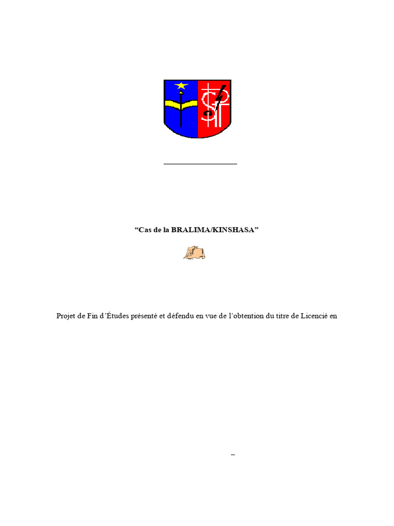 Analyse des Cybermenaces à BRALIMA | PDF