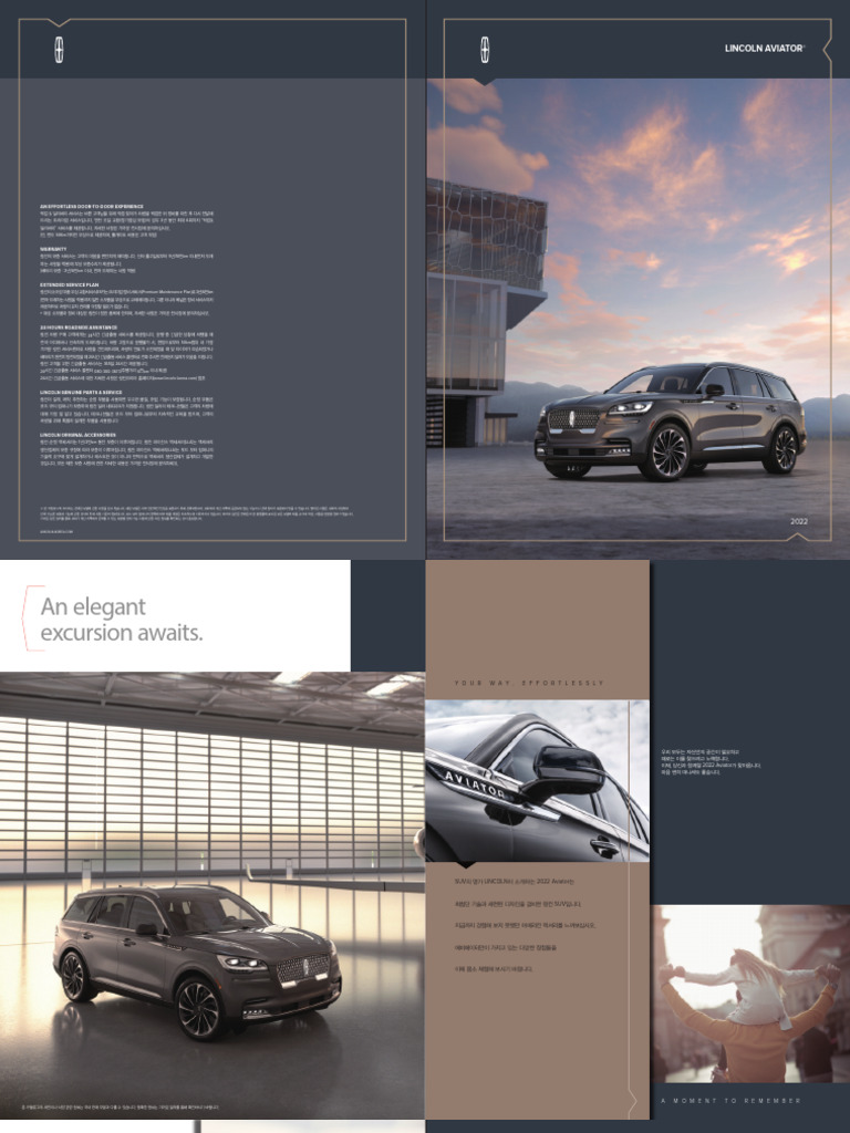 22MY Aviator | PDF