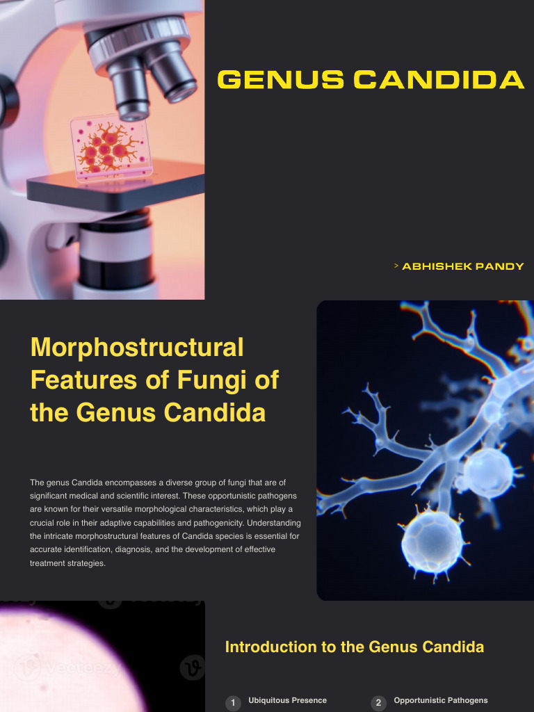 I of The Genus Candida | PDF | Yeast | Candida (Fungus)