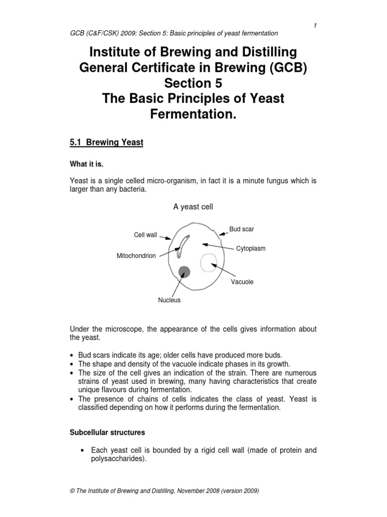 Yeast Fermentation Basics for Brewing | PDF | Brewing | Beer