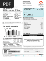 Sample MERALCO Electricity Bill | PDF