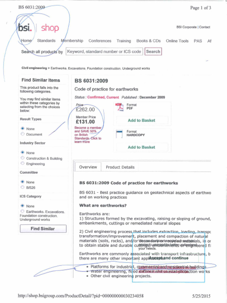 BSI | PDF