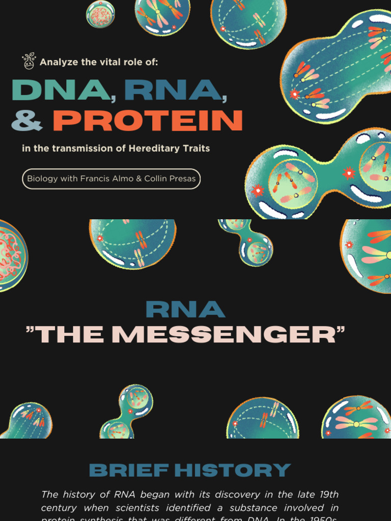 Analyze-The-Vital-Role-Of RNA | PDF | Rna | Translation (Biology)