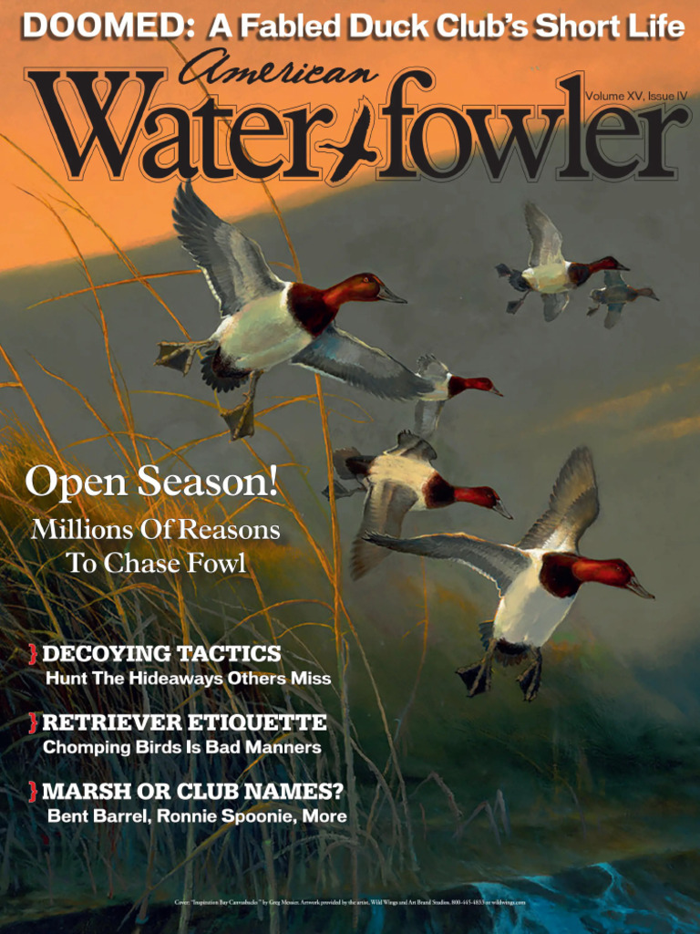 American Waterfowler - October 2024 | PDF