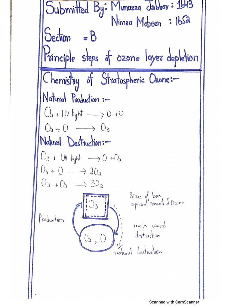 Munazza Jabbar & Nimra Mobeen | PDF
