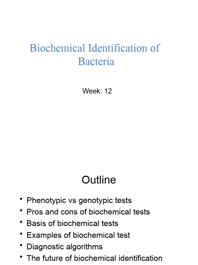 Practical 12 - I Dentification of Bacteria - Tagged | PDF | Bacteria | Phenotype
