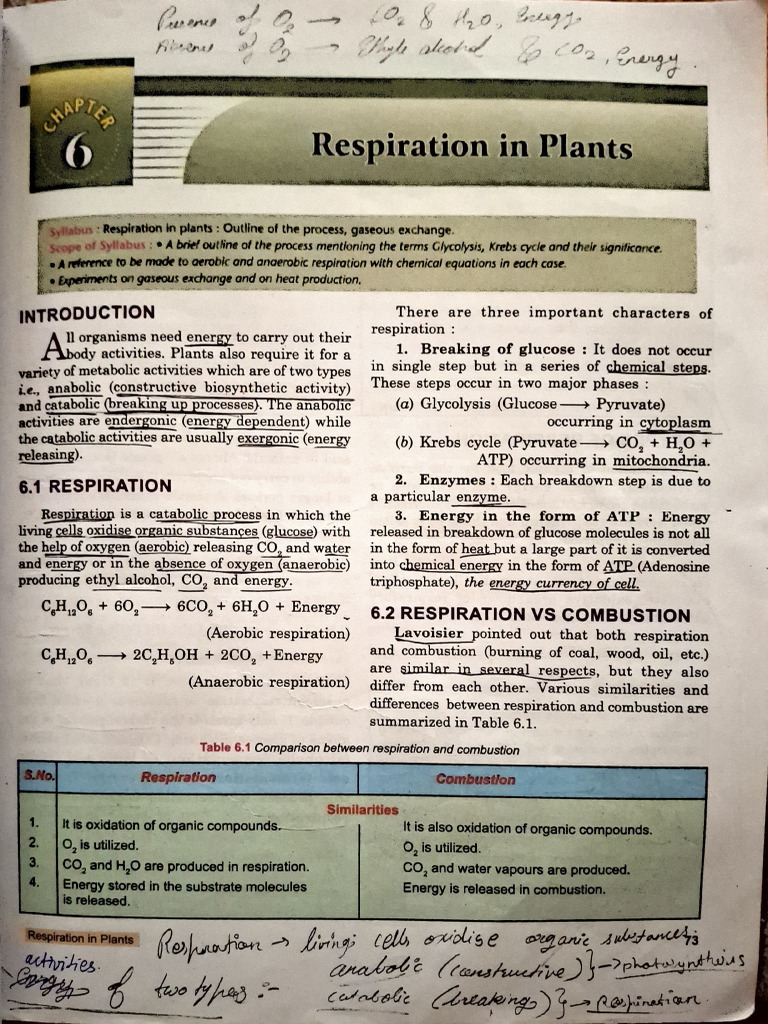 Bio Ch-6 and Ch-9 | PDF | Cellular Respiration | Glycolysis