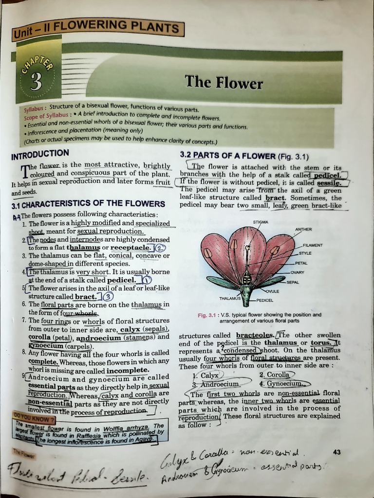 Biology ch 3 (1) | PDF | Petal | Flowers