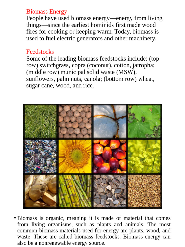 Biomass Direct Combustion Resources | PDF | Wellness | Technology ...