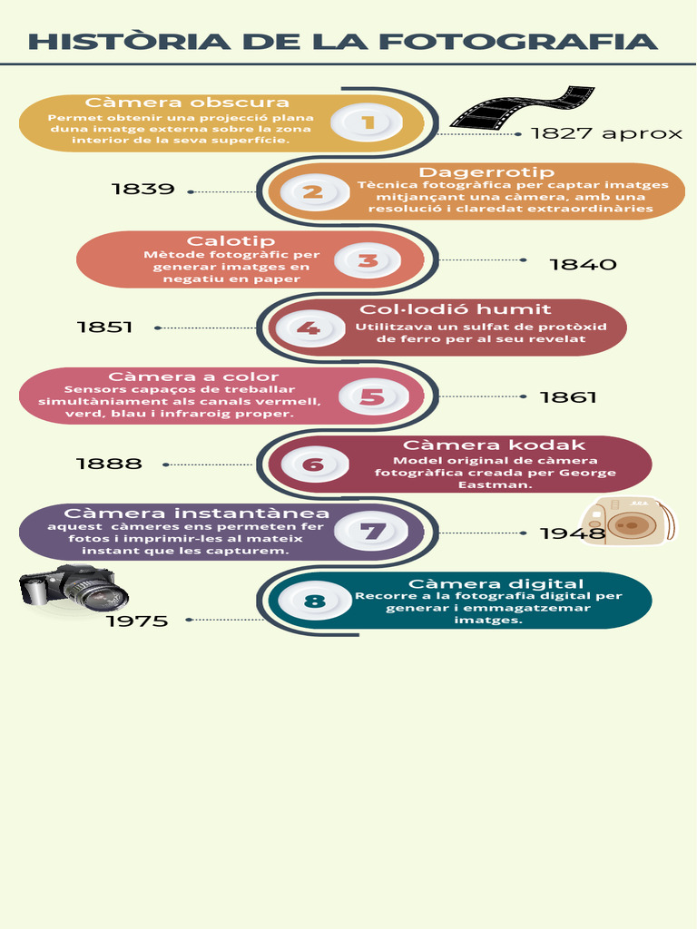 Multicolor Professional Chronological Timeline Infographic | PDF