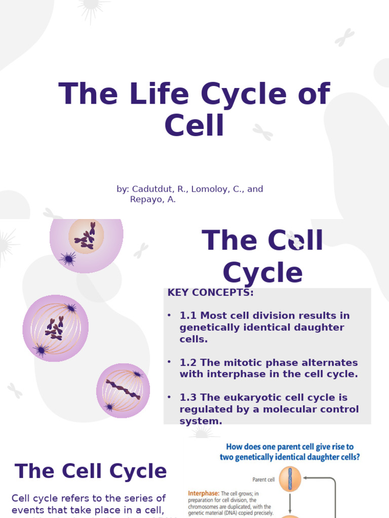 GROUP 3 (The Life Cycle of Cell) | PDF | Mitosis | Cell Cycle