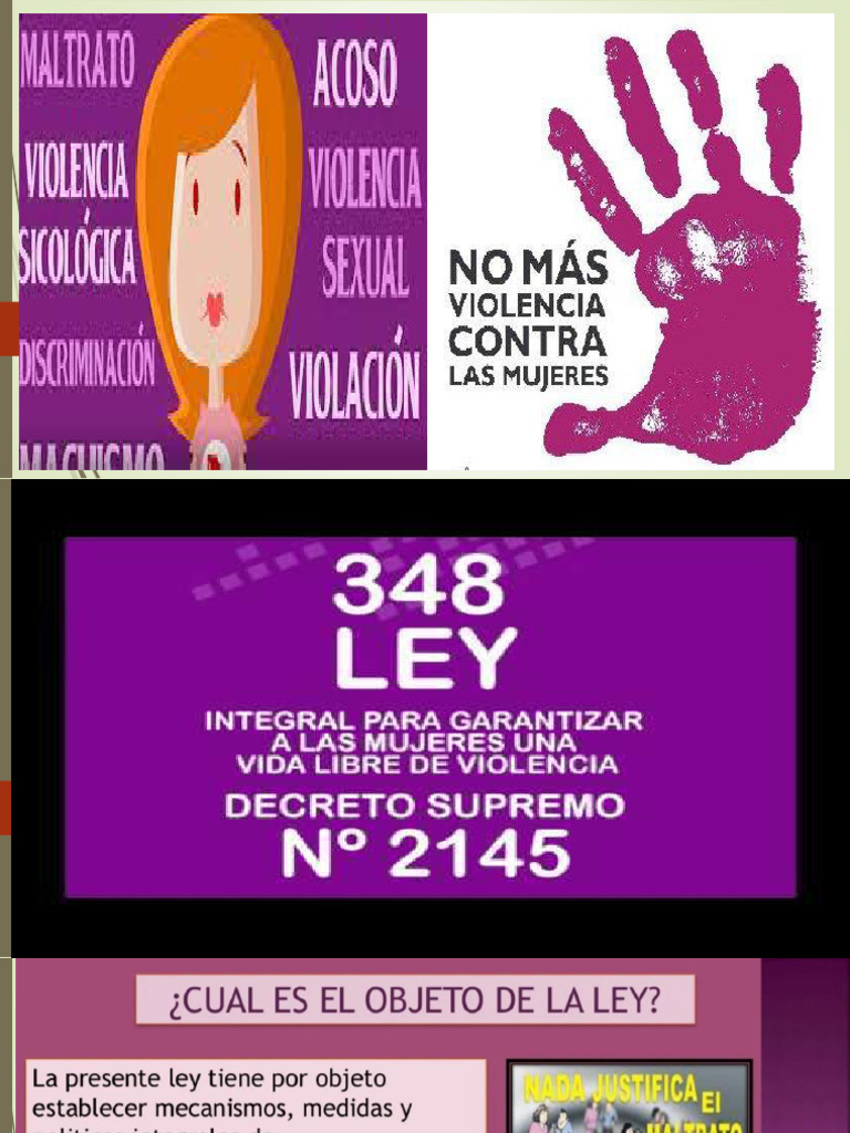 Ley 348 | PDF