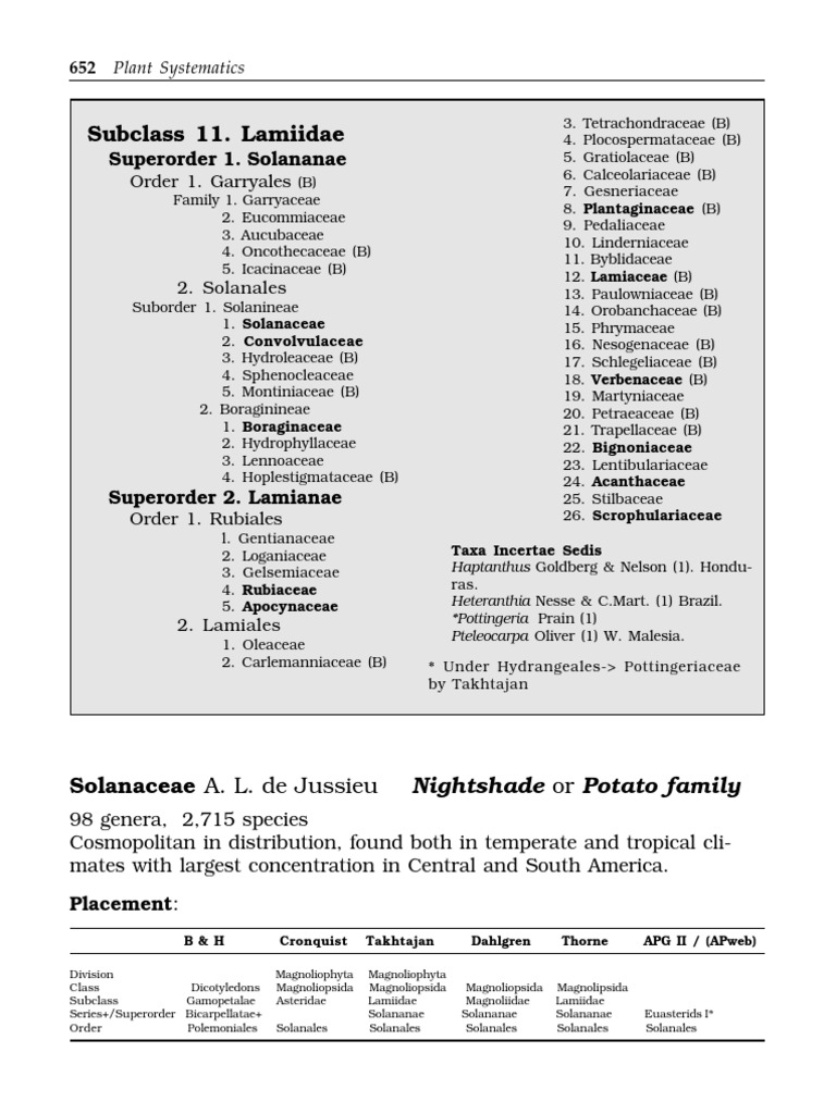 Solanaceae Family Classification Overview | PDF | Plants | Plant Morphology