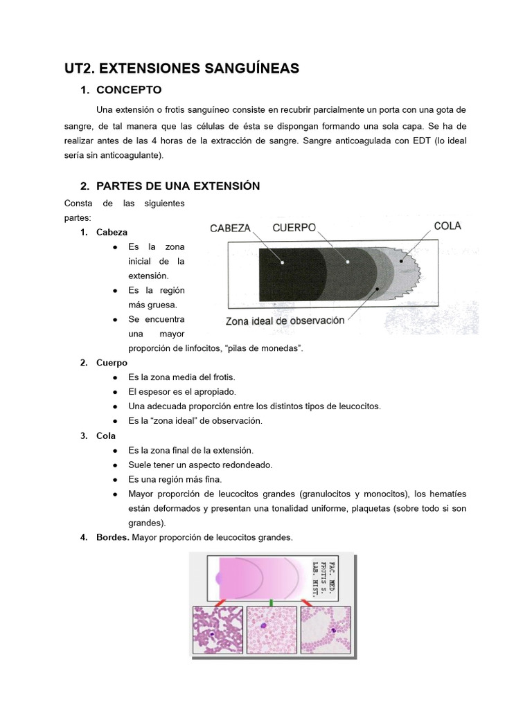 UT2. Extensiones Sanguíneas | PDF | Plasmodium | Malaria