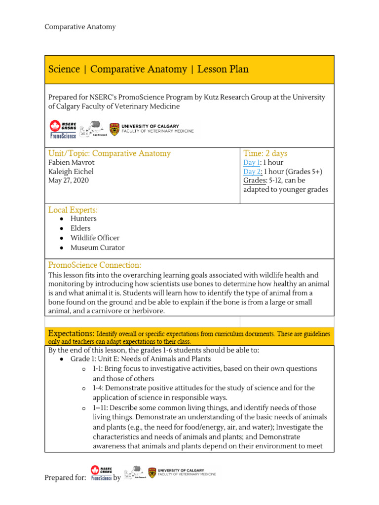 Comparative Anatomy Lesson Plan | PDF | Science | Tooth