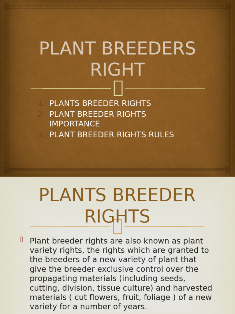 Plant Breeder Rights Overview | PDF