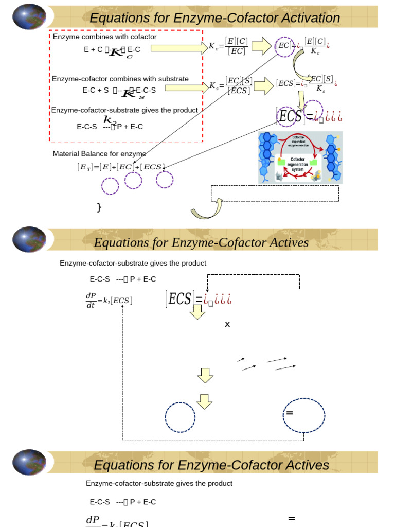 Enzymatic Reactions | PDF | Cofactor (Biochemistry) | Enzyme Kinetics