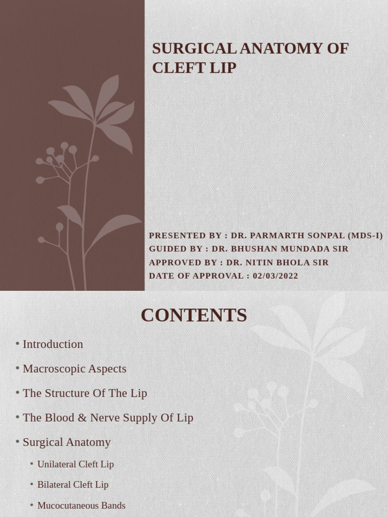 Surgical Anatomy of Cleft Lip | PDF | Lip | Human Nose