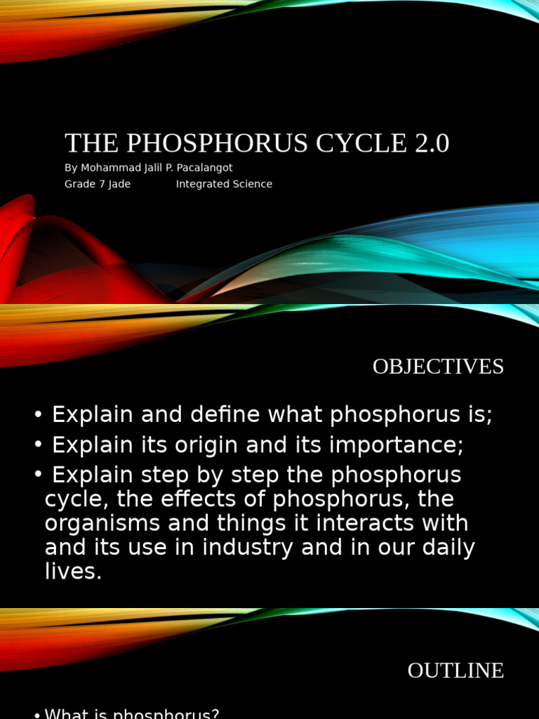 The Phosphorus Cycle | PDF | Phosphorus | Phosphate