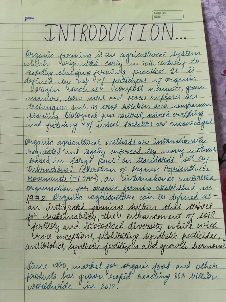 Class 12 Eco Project | PDF