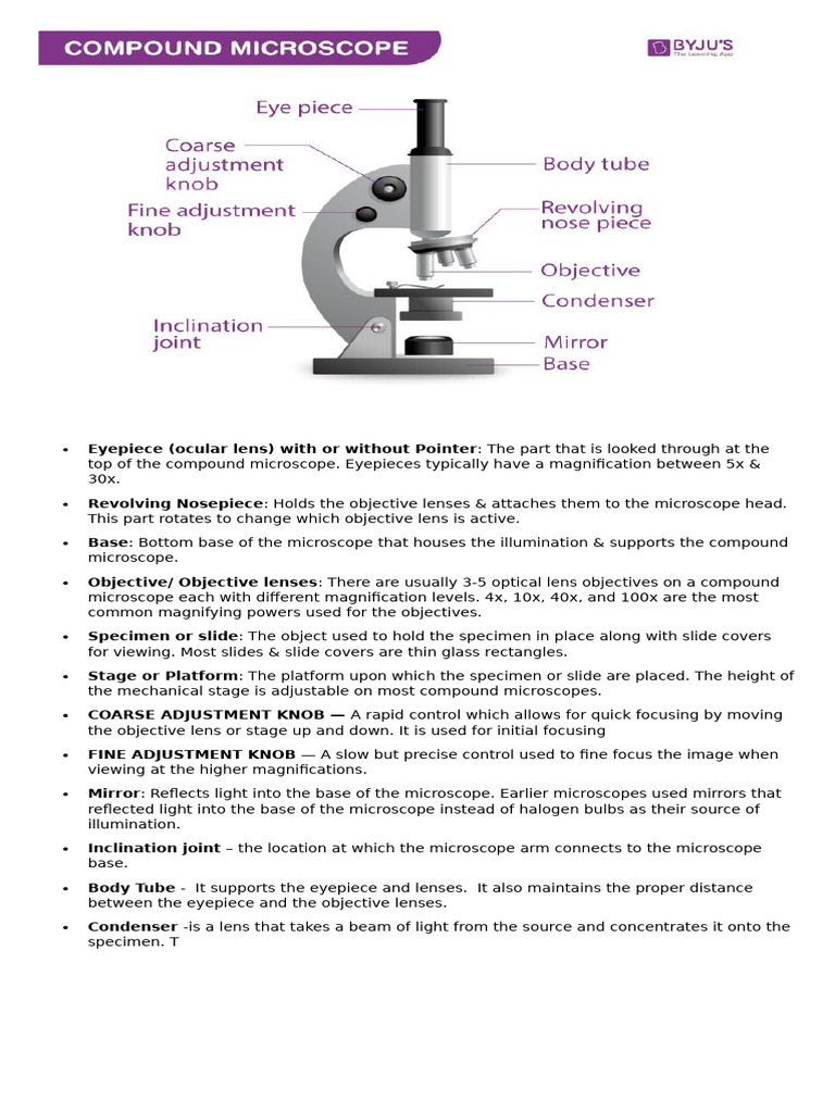 Compound Microscope Components | PDF | Science & Mathematics