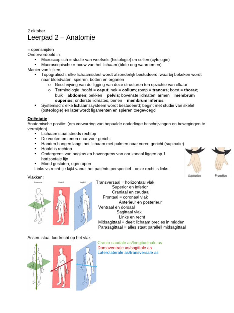 Leerpad 2 Anatomie | PDF