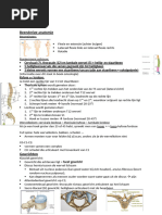 Zelfstudie Anatomie Wervelkolom en Thorax (Botten) | PDF