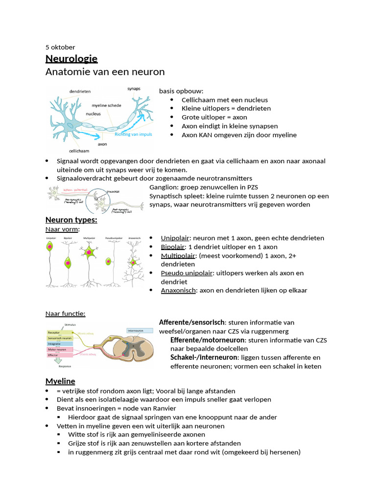 Neurologie | PDF