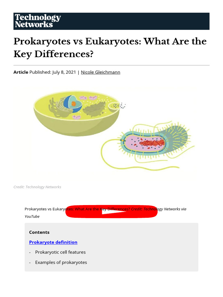 Prokaryotes Vs Eukaryotes - What Are The Key Differences | PDF | Cell ...