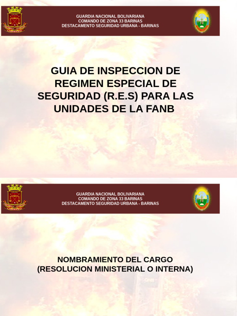 Guia de Inspeccion de Control de Regimen Especial de Seguridad (Res) 1 | PDF | Gobierno