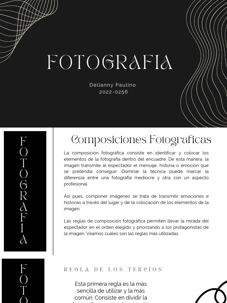 Tipos de Composiciones Fotograficas | PDF | Composición (artes visuales ...