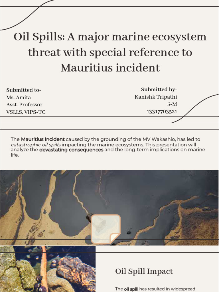 Oil Spills | PDF | Science & Mathematics | Technology & Engineering